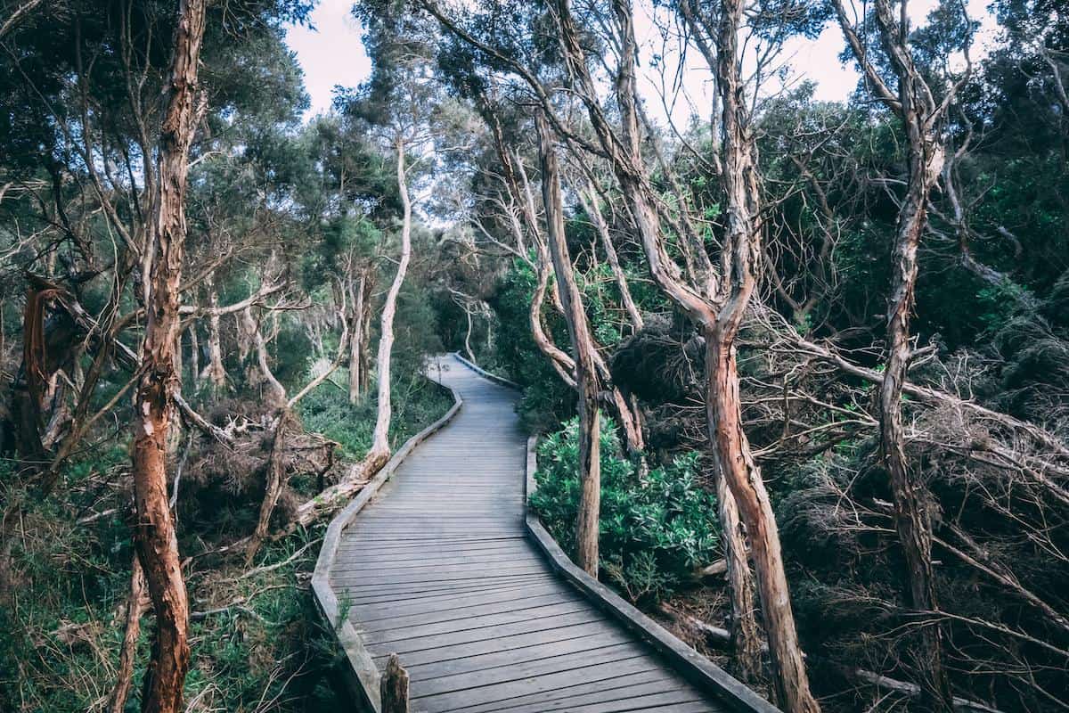 Mornington Peninsula Itinerary: 16+ Must-Visit Places
